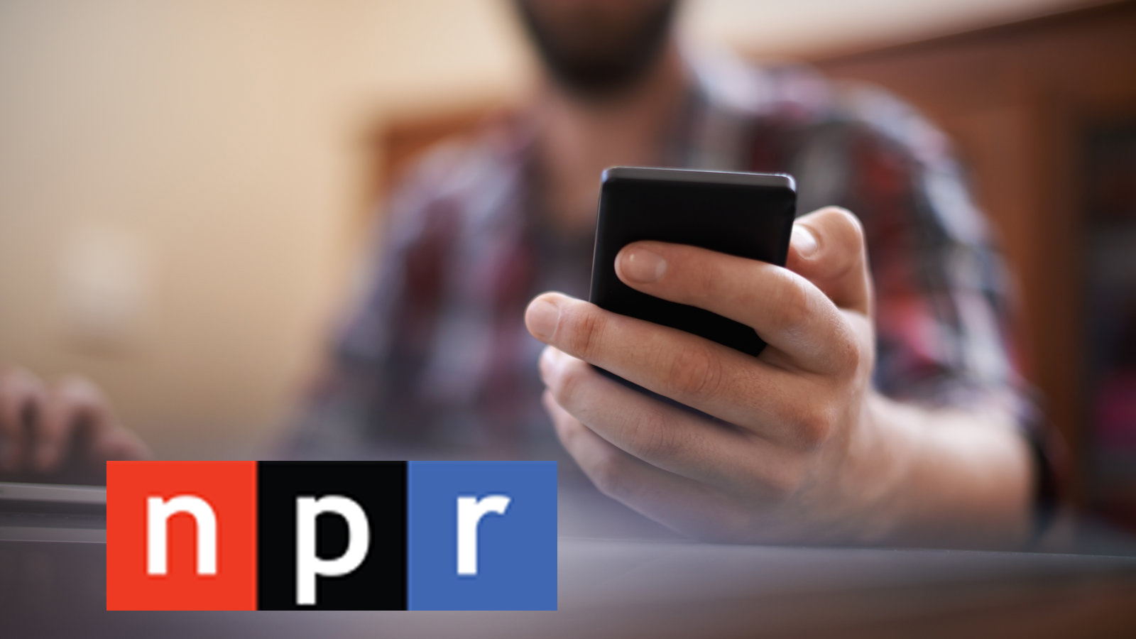 Web Advertisement: NPR interviews Tim Wu, advertising specialist ...